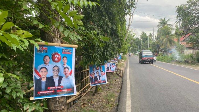 Pohon-pohon di Jl Petta Ponggawae Sinjai Utara 'Dipaku' Demi Pajang ...