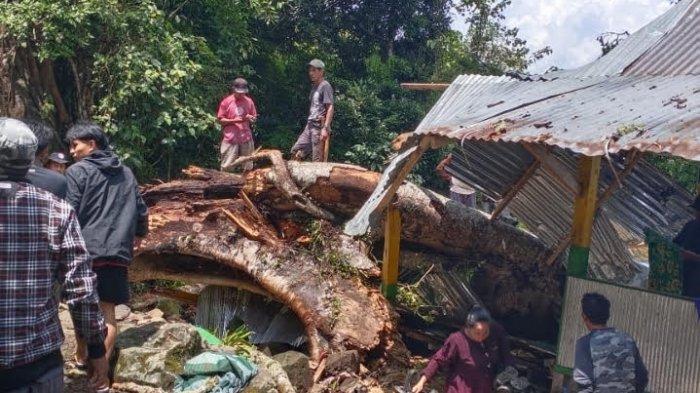 9 Pengunjung Wisata Soppeng Tewas Tertimpa Pohon saat Berteduh di ...