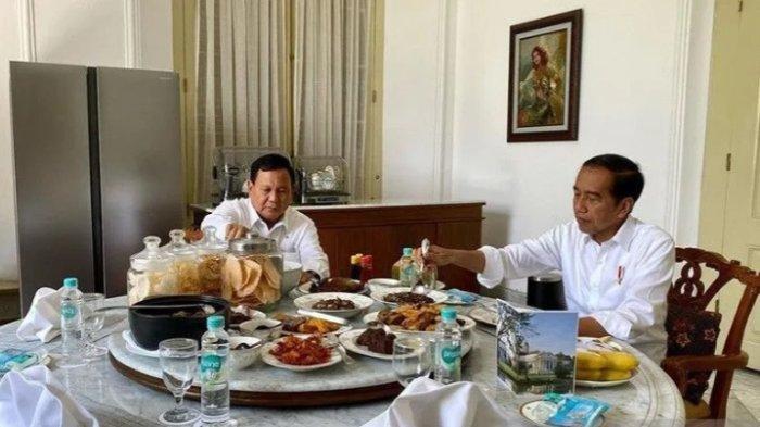 Kata Ujang Komaruddin Soal Jokowi dan Prabowo Subianto Makan Bareng di Istana Bogor - Tribun ...