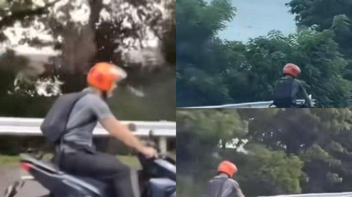 Viral Bule Kesasar Naik Motor Masuk ke Tol Makassar, Polisi Sebut 'Ketipu' Google Maps - Tribun ...