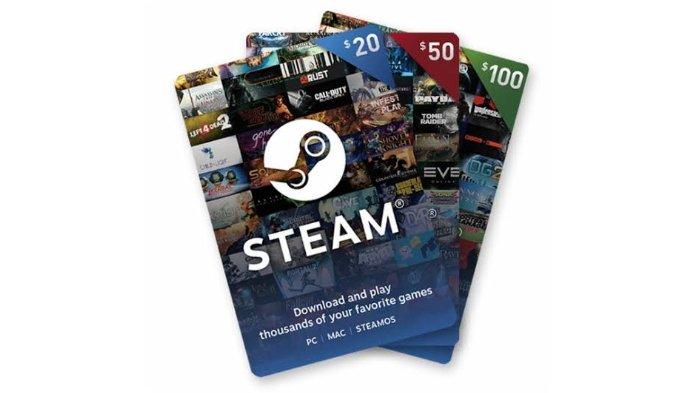 Cara Top Up Steam Wallet, Praktis dan Anti-Ribet - Tribun-timur.com