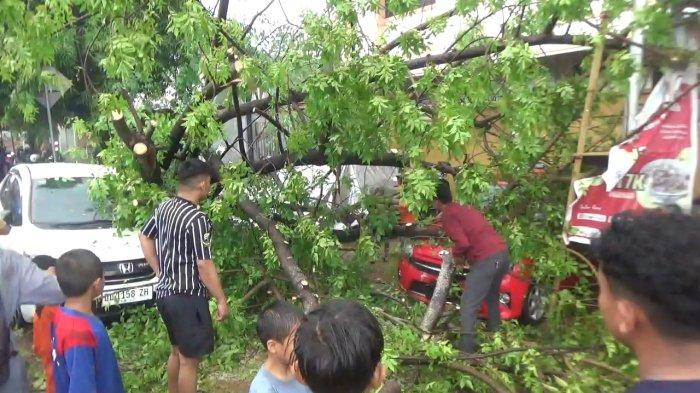 Pohon Tumbang Timpa 4 Mobil di Antang Raya Makassar saat Pemilik Makan ...