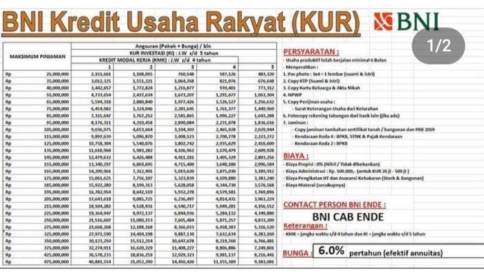 Tabel KUR BNI 2025, Bunga Pinjaman Rendah, Login e-Form BNI - Tribun ...
