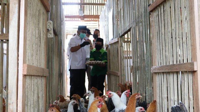 Gubernur Ali Baal Masdar Tinjau Usaha Padat Karya di Binuang Polman ...