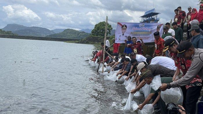 Pj Gubernur Sulsel Sebar 100 Ribu Ikan Air Tawar di Bendungan Bili-bili ...