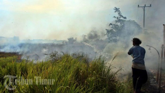 FOTO: Kebakaran Rumput Kawasan Tanjung Bunga Makassar - Tribun-timur.com