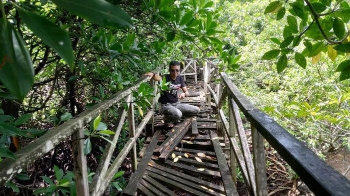 Fasilitas Wisata Hutan Mangrove Pulau Pannikiang Barru Terbengkalai ...