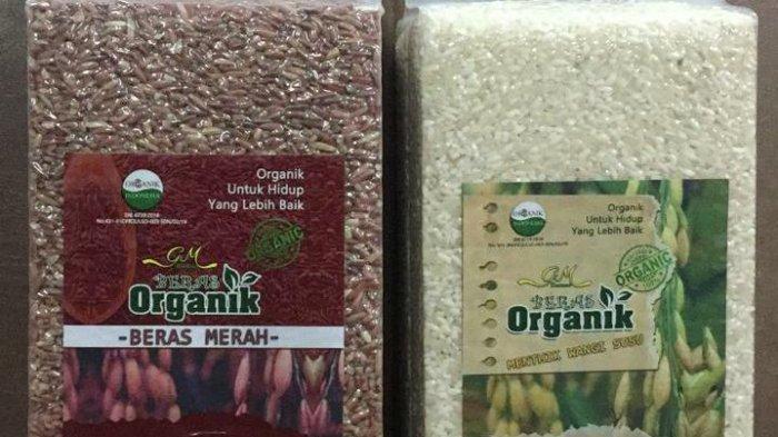 Kementan dan Kemendag Sinergi Tingkatkan Ekspor Beras Organik - Tribun ...