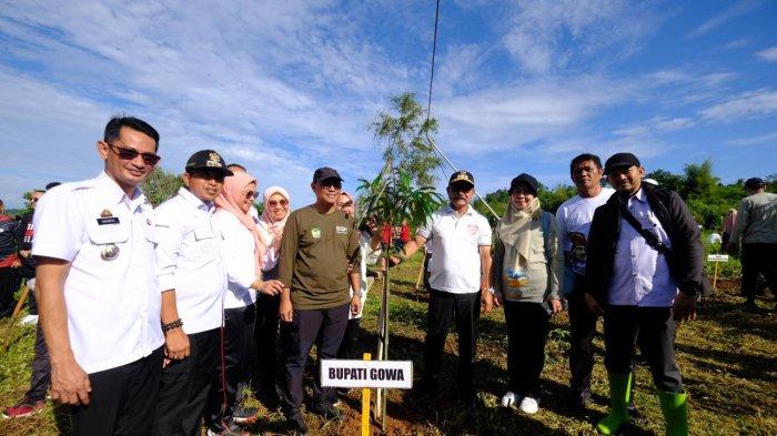 Peringati Hari Lingkungan Hidup, Pemkab Gowa Tanam 1.000 Bibit Pohon di Lahan Kritis - Tribun ...