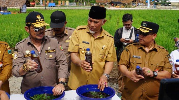 Hasil Penelitian Bsip Kementan Soal Biosaka Terlalu Prematur Tribun