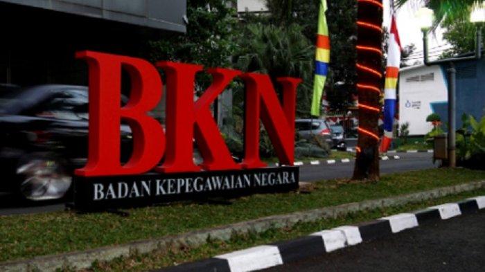 UPDATE Resmi dari BKN: Daftar 10 Formasi Ramai Peminat CPNS 2019 dan ...