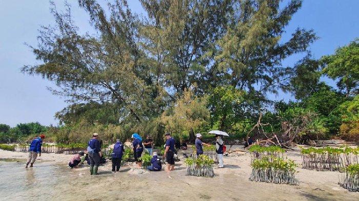 5 Mayat Berserakan di Pemakaman Pulau Panjang Pasca Abrasi, Cara Cegah ...