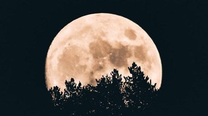 Pertama Kali Terjadi, Ilmuan Temukan Air di Bulan, Tanda Kehidupan ...