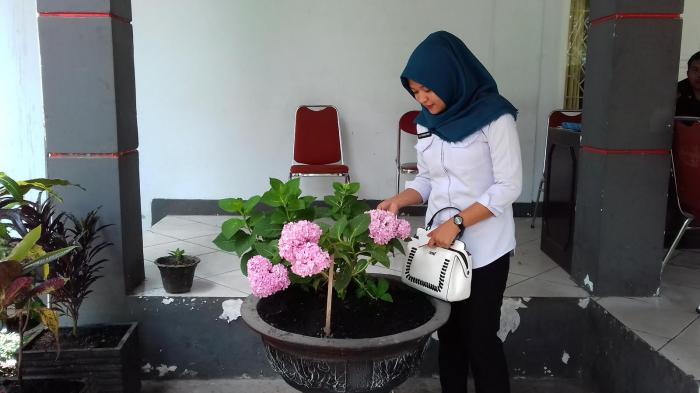 Bunga Masamba Hias Pintu Masuk Gedung DPRD Luwu Utara - Tribun-timur.com