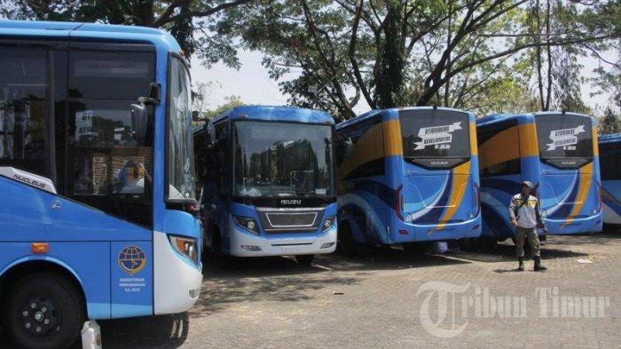 15 Bus Kemenhub RI Bakal Berpelat Merah, Dishub Siapkan Anggaran ...