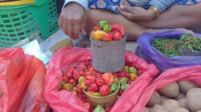 Cabai Merah Jenis Katokkon di Tana Toraja Capai 80 Ribu Per Kilogram ...