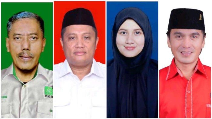 Daftar Caleg Berpeluang Isi Kursi Dapil 4 Luwu, PKB Unggul PDIP Kunci Kursi Terakhir - Tribun ...