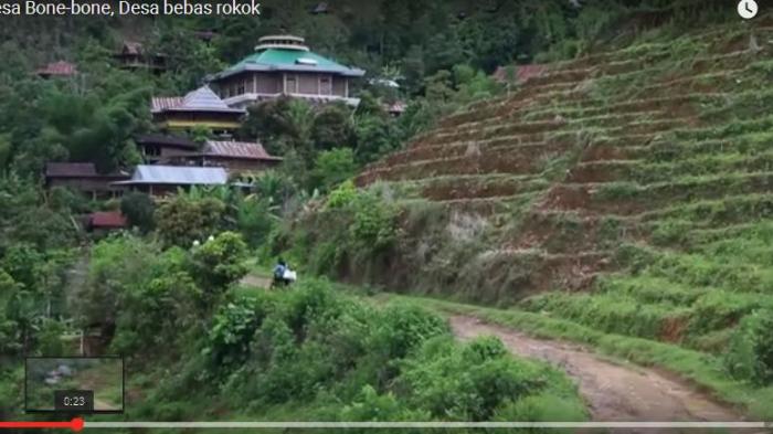 VIDEO: Kampung Bebas Asap Rokok di Kaki Gunung Latimojong - Tribun ...