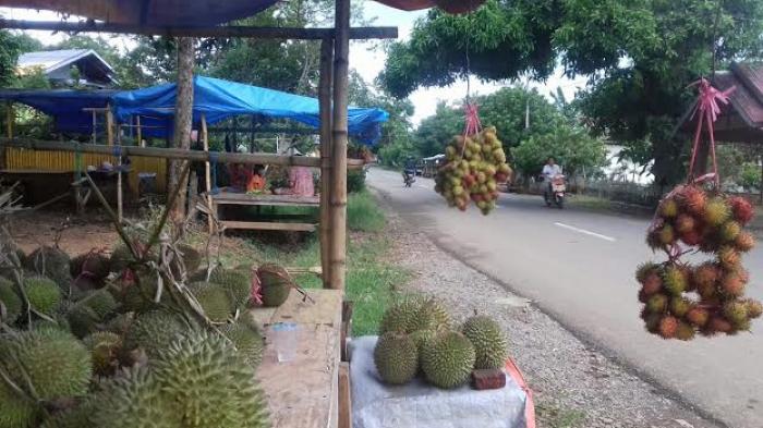Penjual Durian dan Rambutan Samaenre Bone Raup Jutaan Rupiah Per Hari ...
