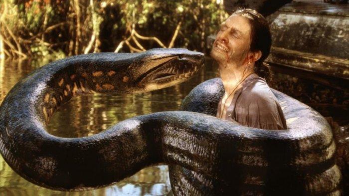 Usaha Menyelamatkan Diri dari Ular Raksasa, Ini SInopsis Anaconda ...