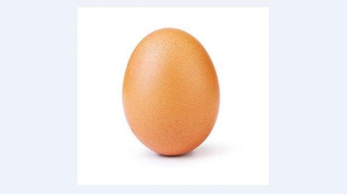Kisah di Balik Foto Telur yang Pecahkan Rekor Dunia dengan Likes ...