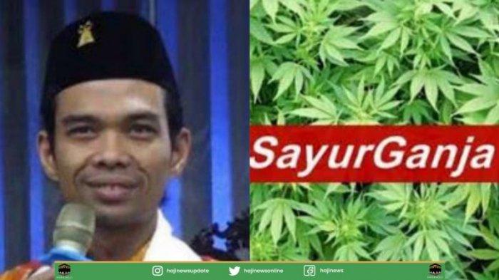Ganja Dimasak Jadi Sayur, ini Hukumnya Dalam Islam Menurut Ustadz Abdul ...