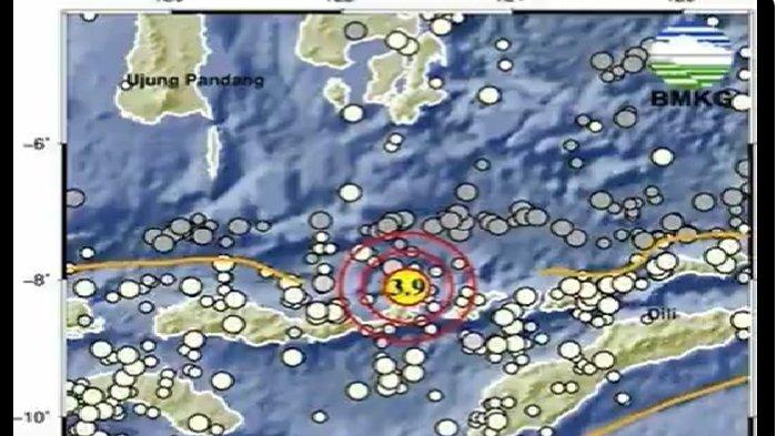 Gempa Bumi M 3.9 Baru Saja Guncang NTT Kamis Pagi 31 Agustus 2023, Info BMKG Pusat Gempa Barusan ...