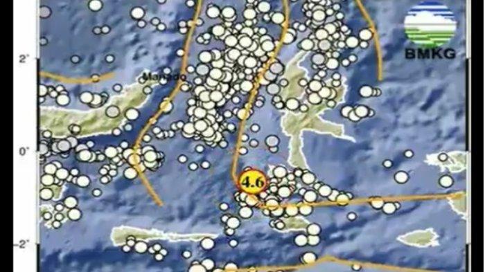 Gempa Bumi Hari Ini Kamis Pagi 21 Desember 2023 M 4.6 Guncang Maluku Utara, Cek Info Lengkap ...