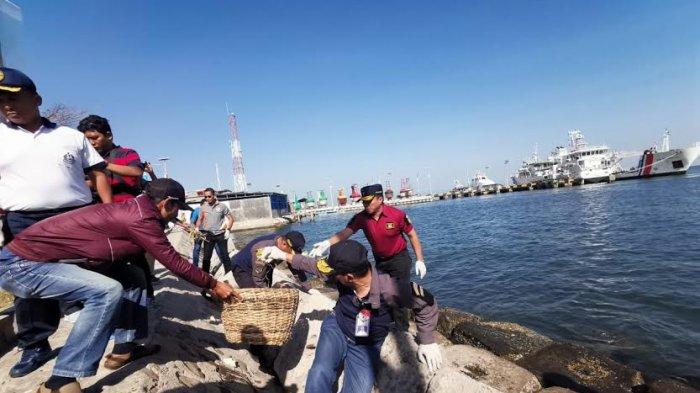 Syahbandar Utama Makassar, Pelindo IV dan Masyarakat Aksi Bersih-Bersih di Pelabuhan Paotere ...