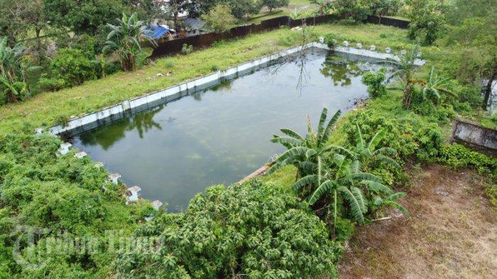 Foto Drone: Fasilitas Arena Olahraga GOR Sudiang Tidak Terurus ...