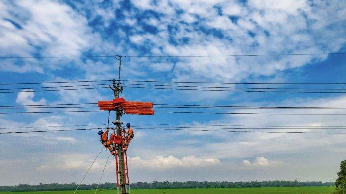 Transformasi Sukses, Pendapatan PLN Tumbuh 10,48 Persen, Capai Rp 487 ...
