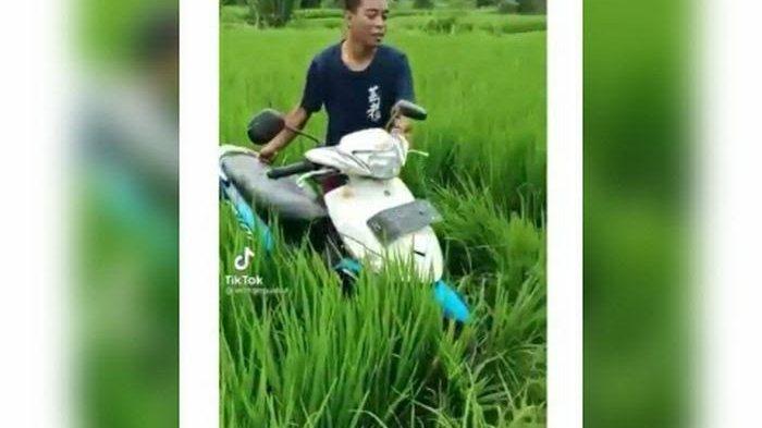 VIDEO: Viral Motor Matic Dikendarai Bocah Mendadak Nyebur ke Sawah, Wajahnya kini Berlumuran ...