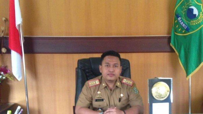 Pemkab Gelar Sayembara Desain Logo Peringatan HUT Barru Ke-63, Catat ...