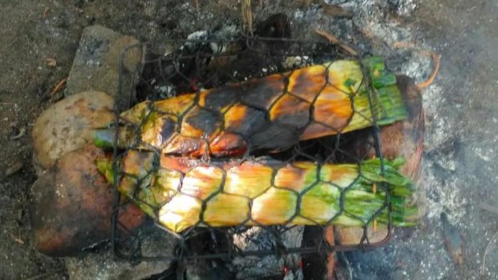 Cicipi Masakan Khas Ikan Sunu Segar di Pulau Sapuka Pangkep - Tribun ...