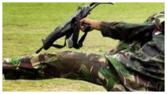 Anggota TNI AD / Tentara Vs Maling, Pelaku Takluk di Tangan Intel Kodim ...