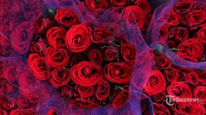 Fungsi Duri Pada Batang Bunga Mawar - Tribun-timur.com