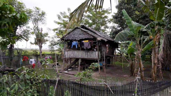 Kisah Rosnawati, Janda 4 Anak Hidup di Rumah Panggung Beratapkan Daun ...