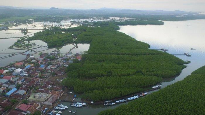 Kabupaten Sinjai - Tribun-timur.com