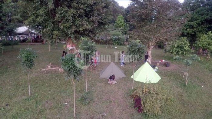 FOTO DRONE: Hutan Pinus Puncak Tinambung - Tribun-timur.com