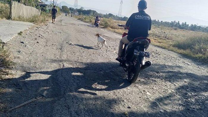 Rusak Parah, Jalan Penghubung Kecamatan di Jeneponto Tak Kunjung Diperbaiki - Tribun-timur.com