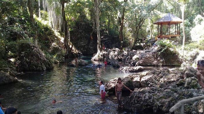 Menilik Misteri Belut Purba Masapi di Kolam Tilanga Toraja, Berani ...