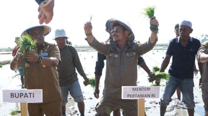 Perkuat Sektor Pertanian, Kementan Dorong Pengembangan Pertanian ...