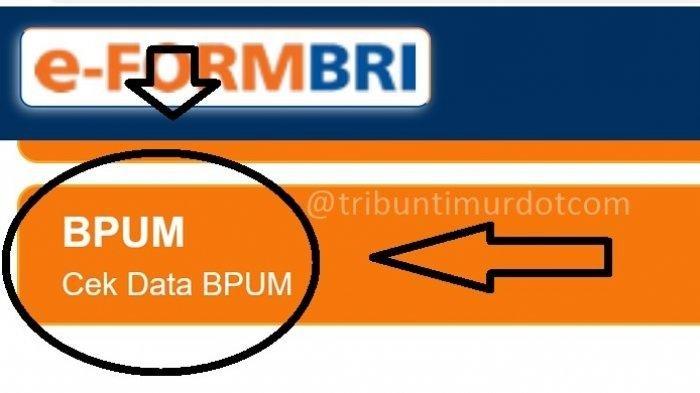 KLIK eform.bri.co.id/bpum Cek Nama Penerima BPUM BRI, eform bni co id ...