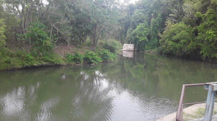 VIDEO: Kondisi IPA PDAM Parepare Saat Kemarau - Tribun-timur.com