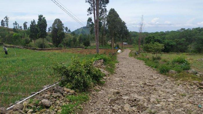 Dikeluhkan Wisatawan, Jalan Menuju Pinus Rombeng Bantaeng Bakal Dikerja ...