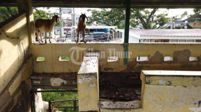 FOTO: Stadion Pacuan Kuda Parang Tambung Terbengkalai dan Tak Terurus ...
