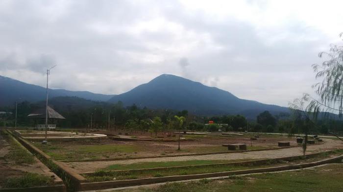 Tahun Ini Pemda Luwu Timur Bangun Landmark di Malili - Tribun-timur.com