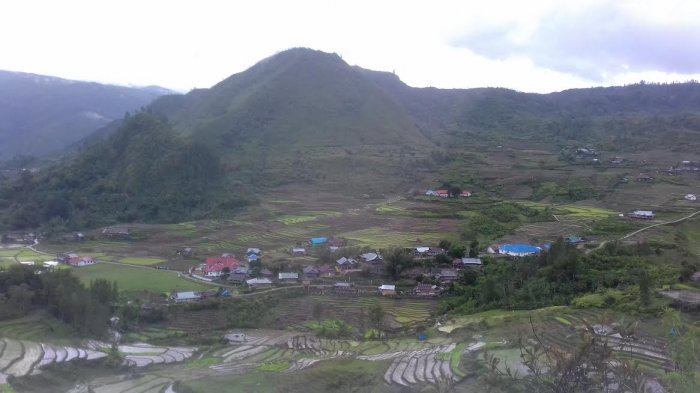 VIDEO: Intip Keindahan Desa Limbong di Luwu Utara - Tribun-timur.com