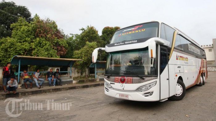 TRIBUNWIKI: Ini Nomor Telepon 10 Perwakilan Bus Makassar-Toraja, Pas ...