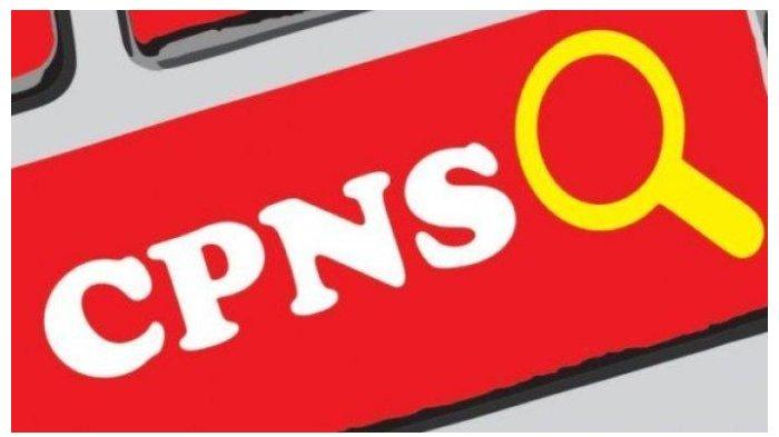 LOGIN sscasn.bkn.go.id, Cara Scan KTP, Akte Lahir, dan Ketentuan Foto ...